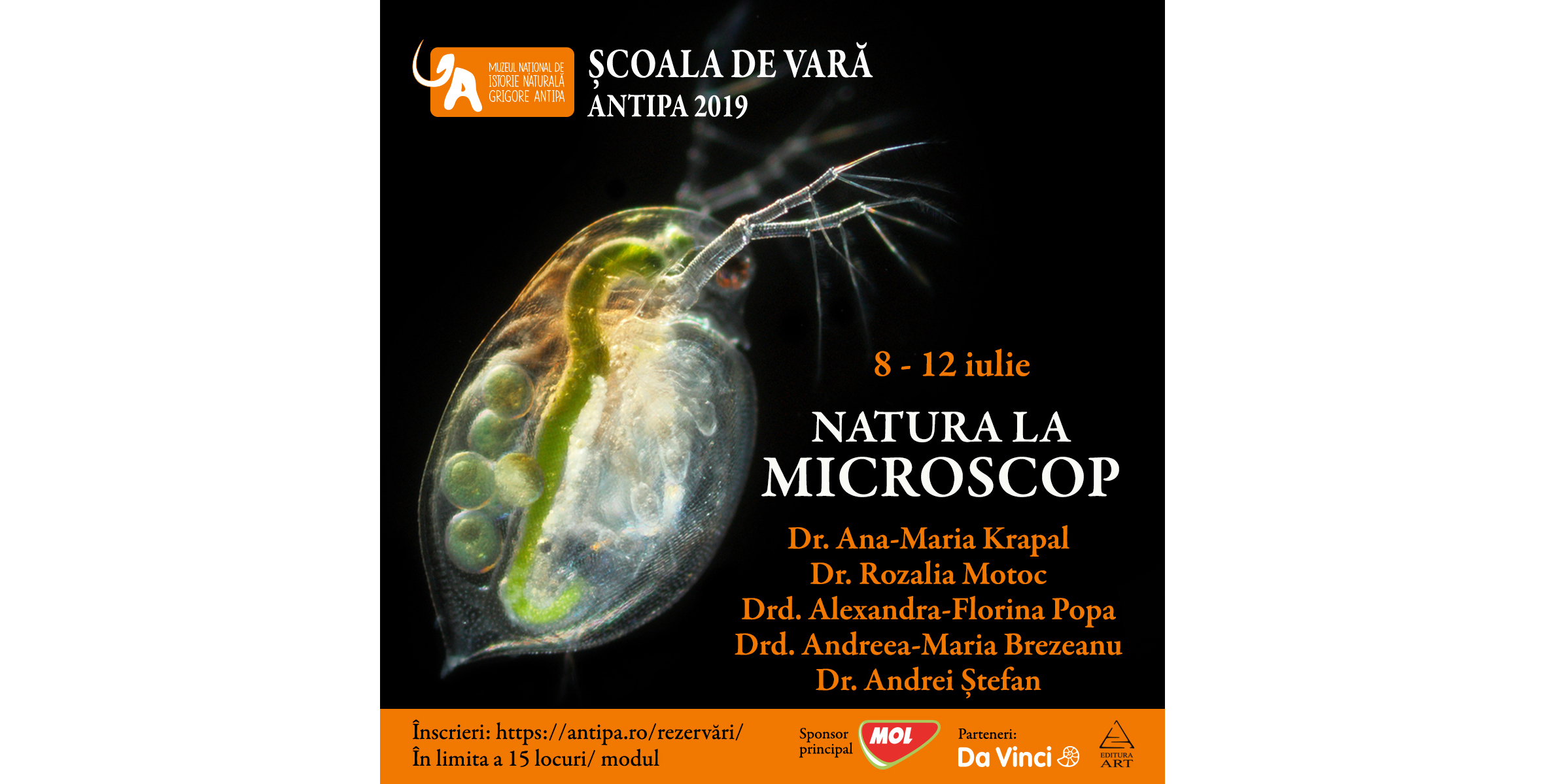 Natura la microscop - Bebelu.ro